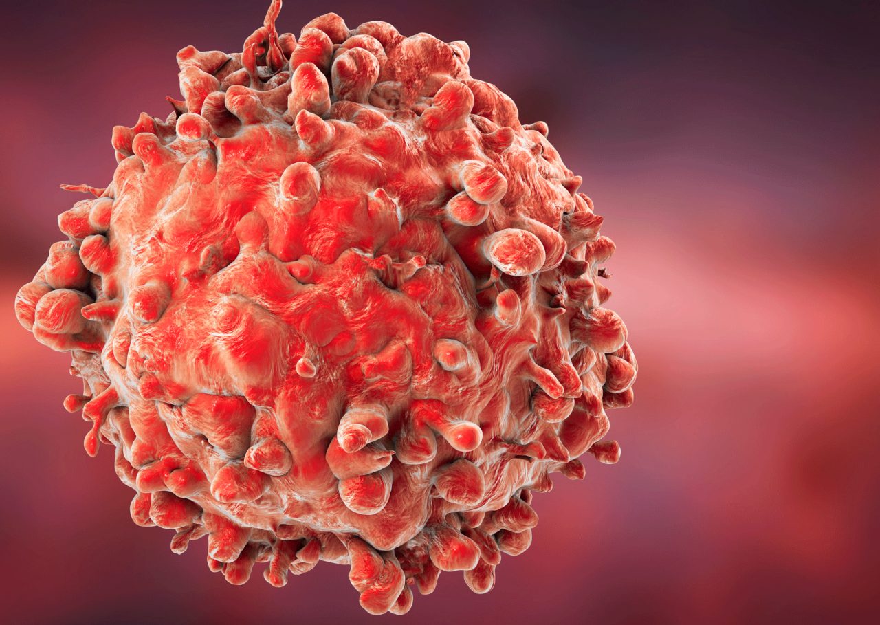 Types of Leukemia | YourCareEverywhere